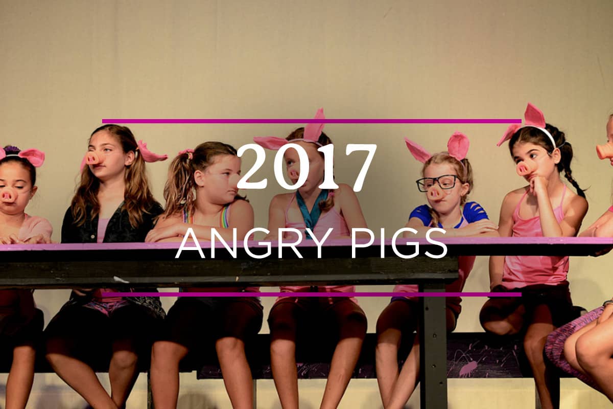 12 Angry Pigs on Vimeo