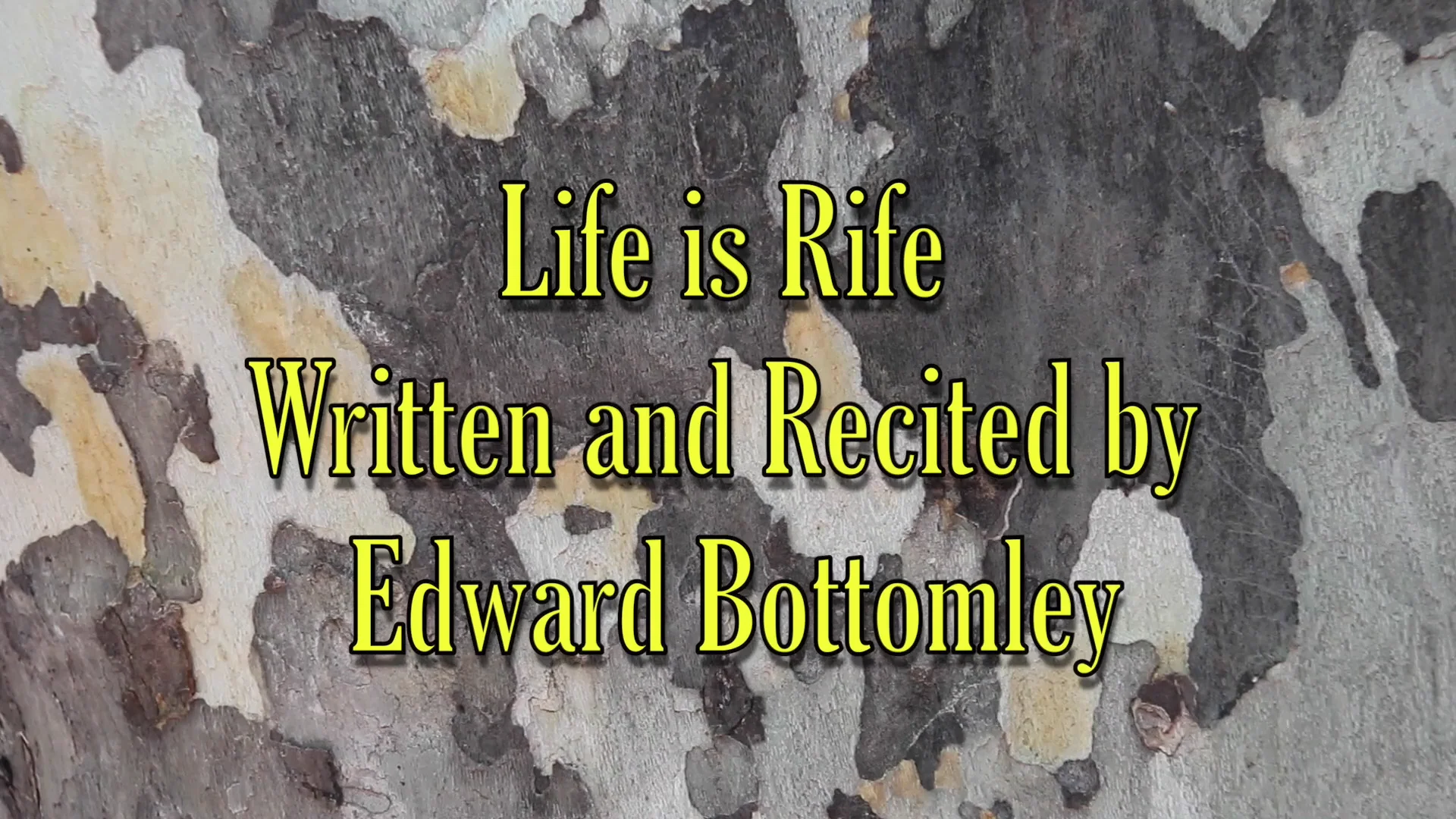 Life is Rife by Edward Bottomley
