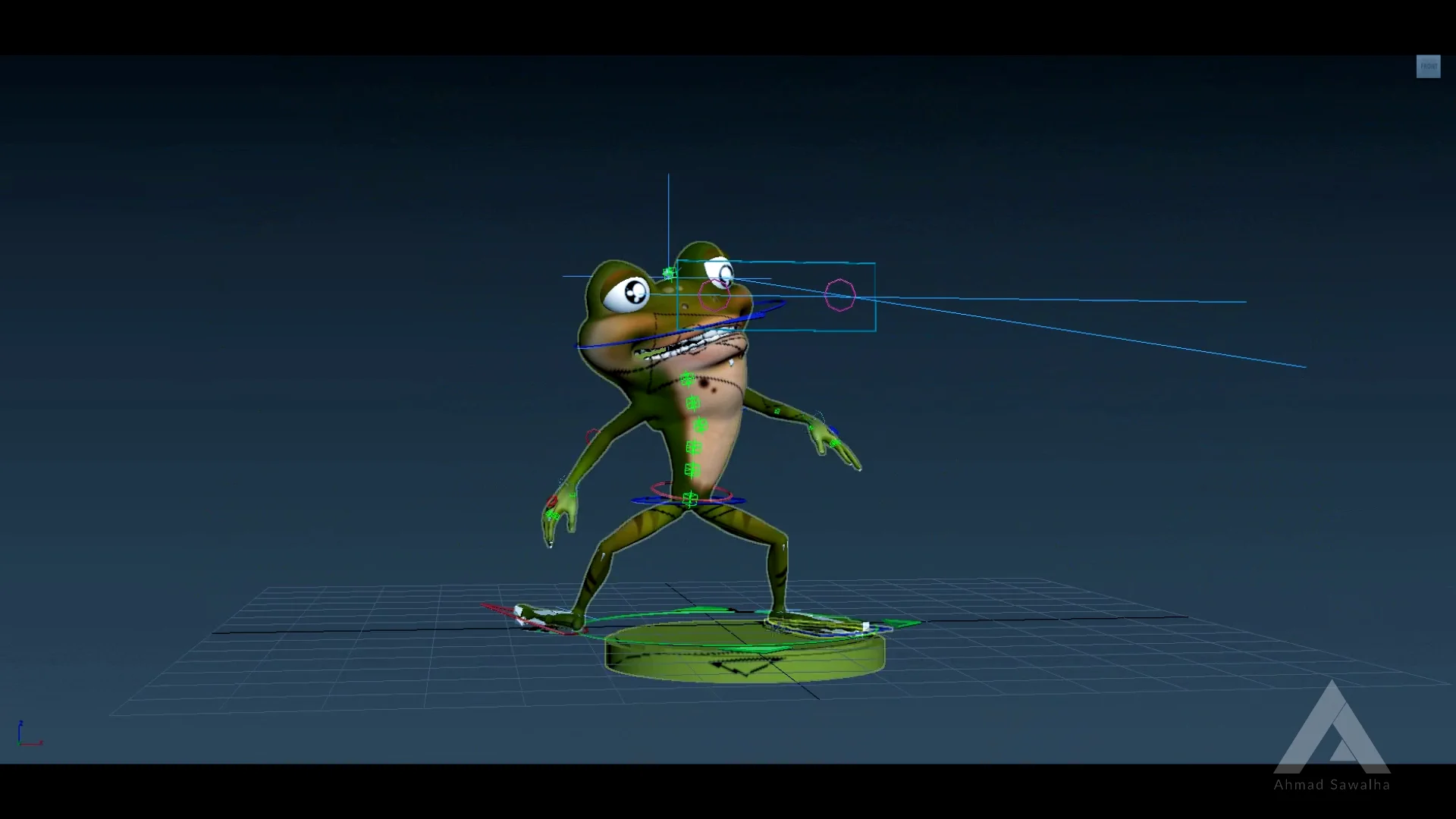 Frog Character Rigging Showcase on Vimeo