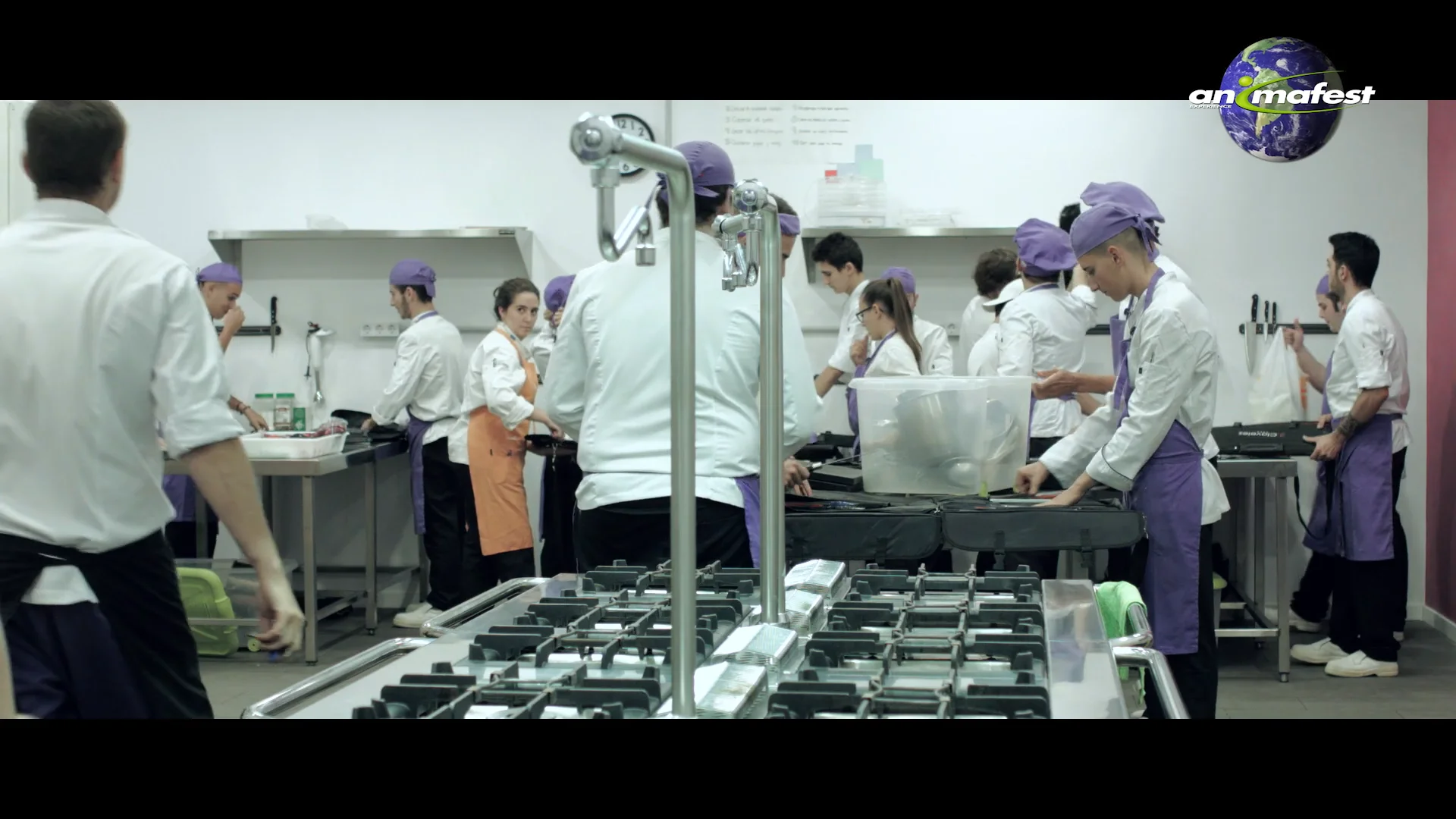 ANIMAFEST EXPERIENCE - HOTELS & RESORTS - Prácticas turismo y gastronomía