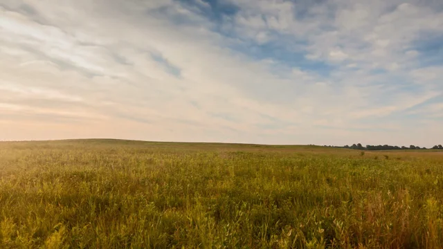 Remaining Tallgrass Prairie