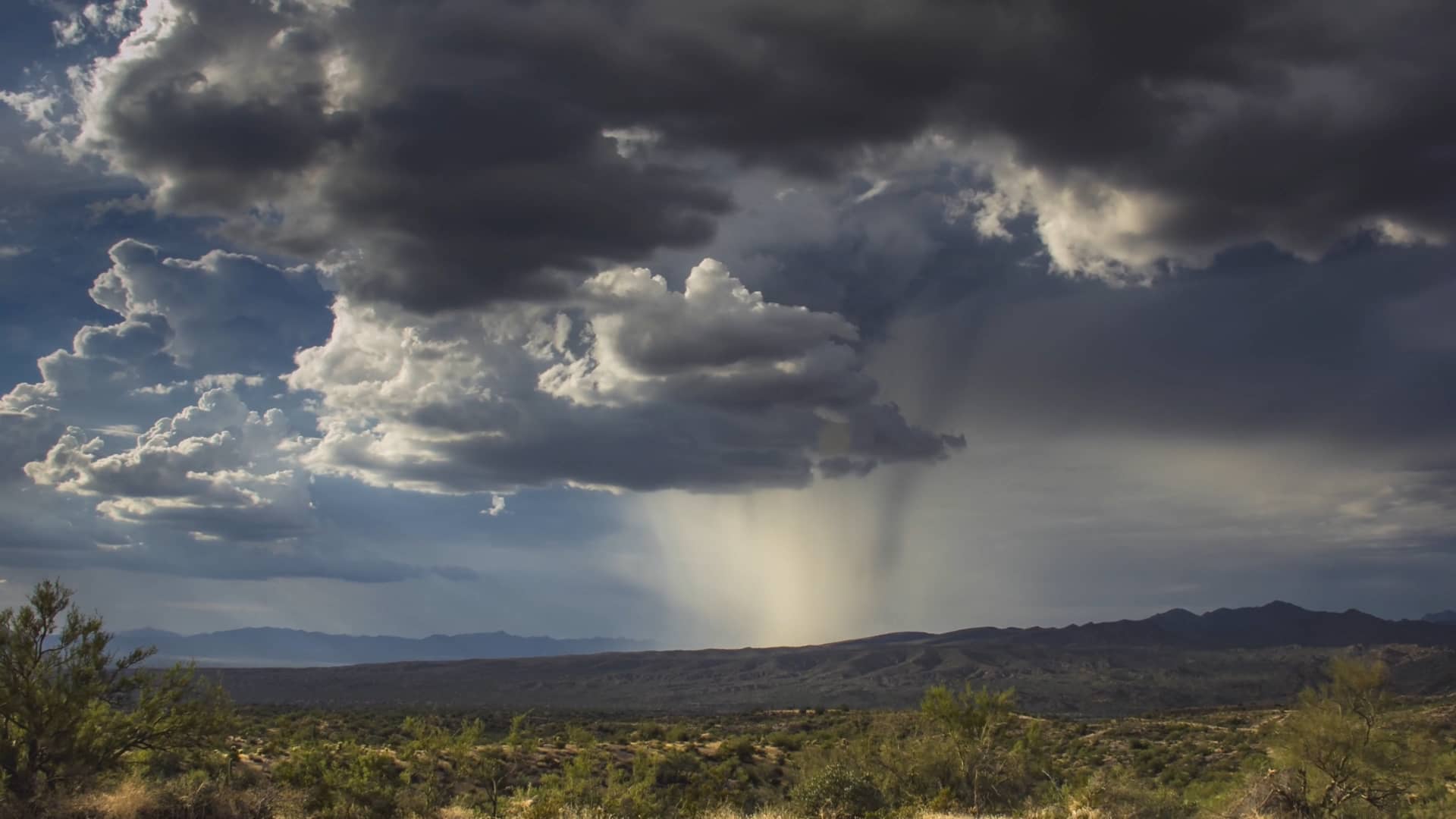 Monsoon 2017 - Day Into Night on Vimeo