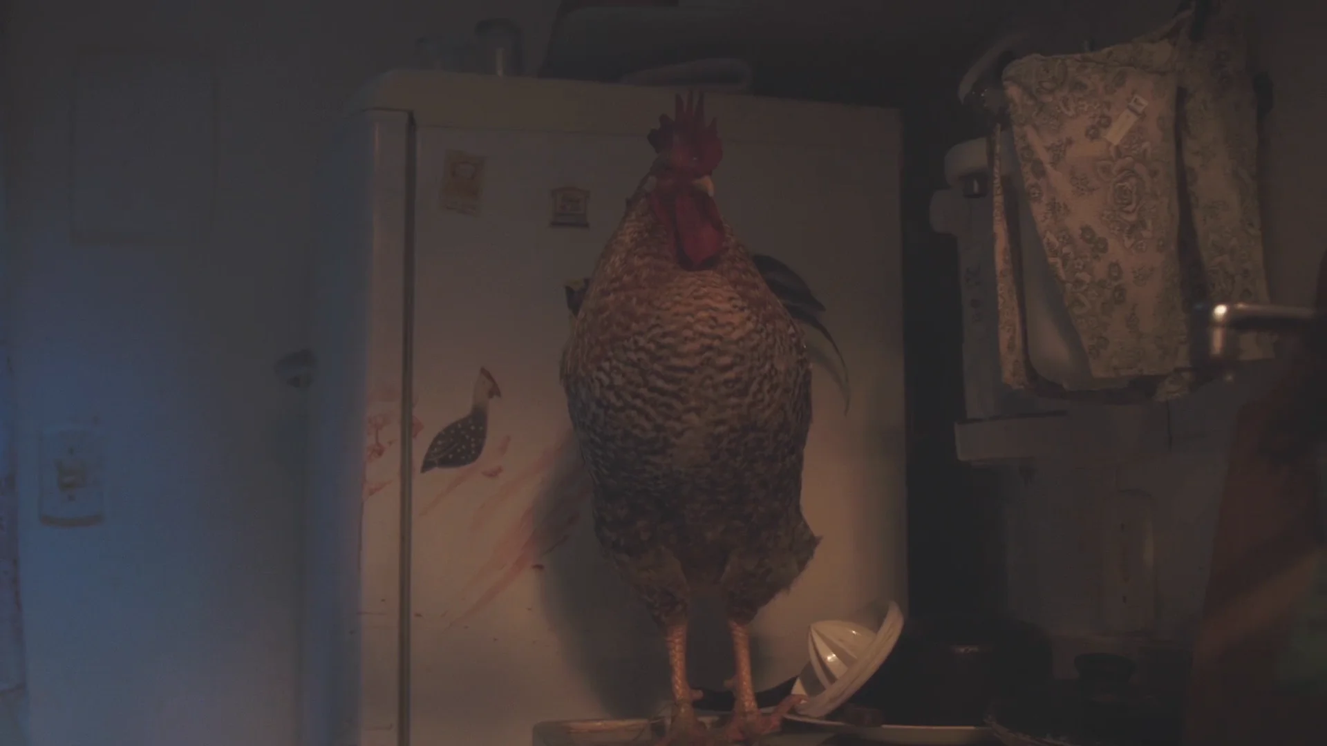 Trailer - When The Rooster Crows Three Times You Will Disown Your ...