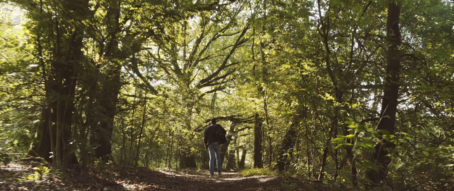 Maashorst - het oergebied in Brabant on Vimeo
