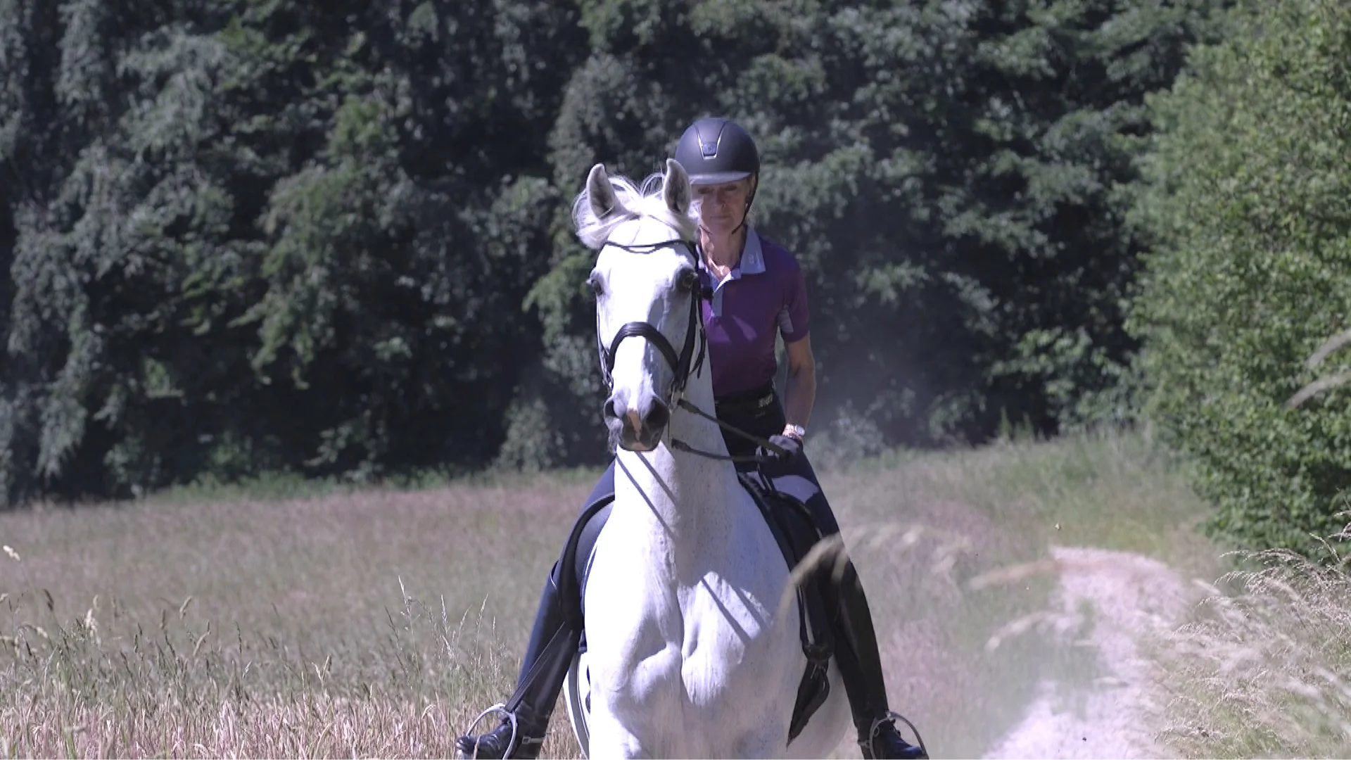Watch Living the good life as a top dressage horse Online | Vimeo On ...