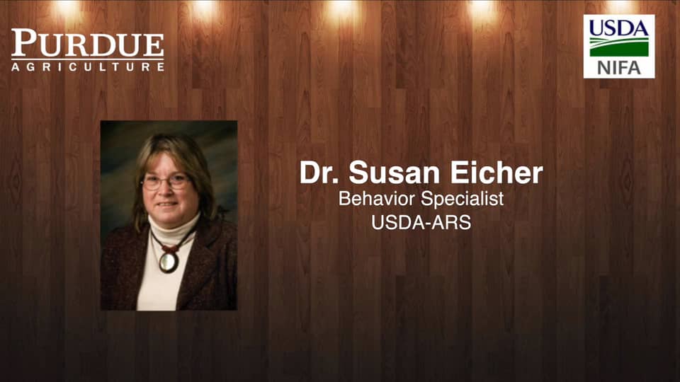 Susan Eicher on Vimeo