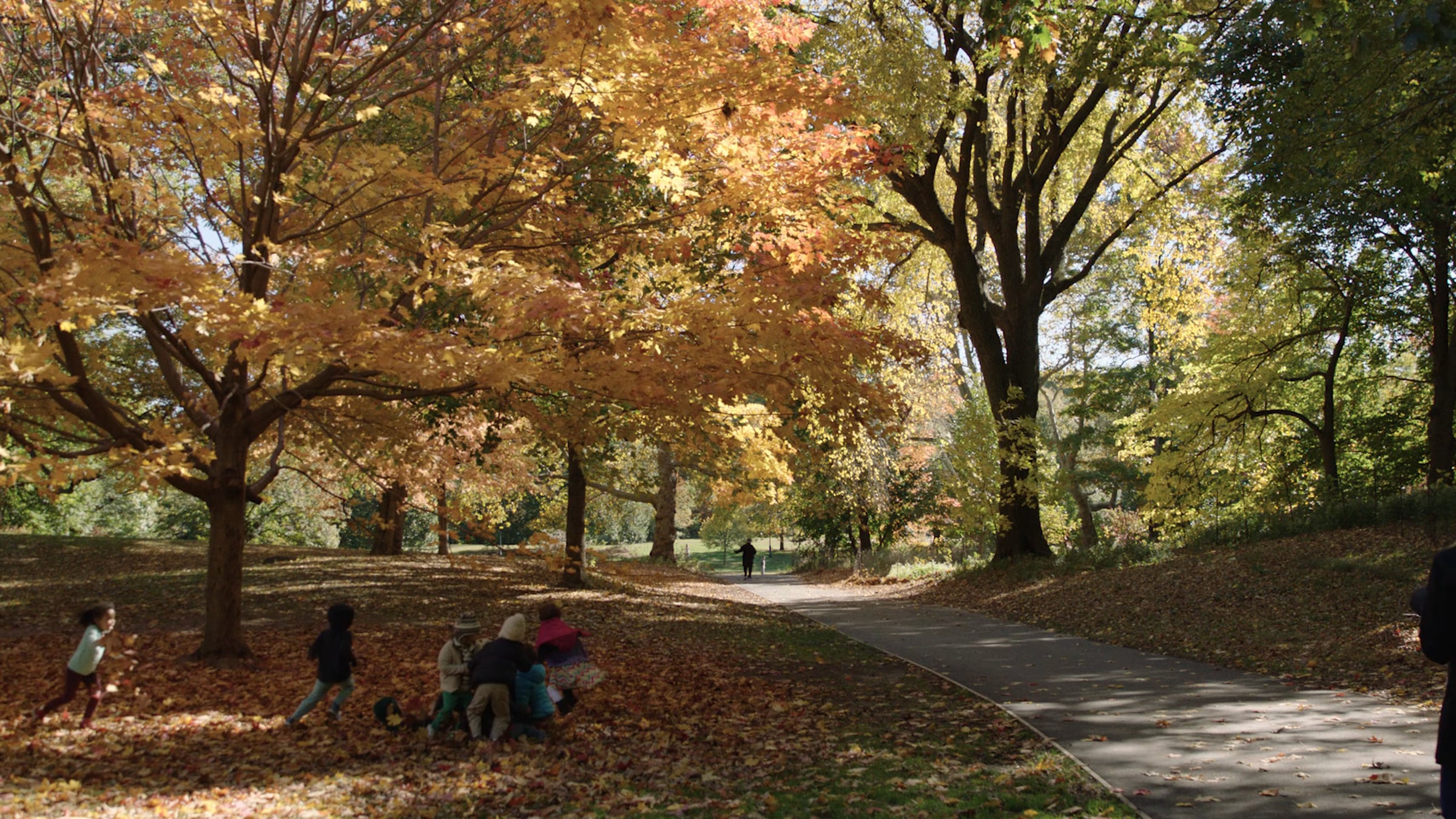Humans of New York Trailer