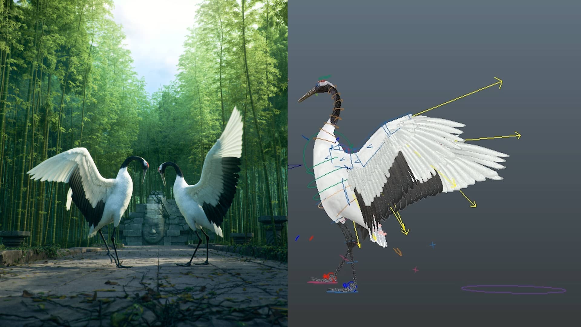 Realistic 3D birds animation on Vimeo