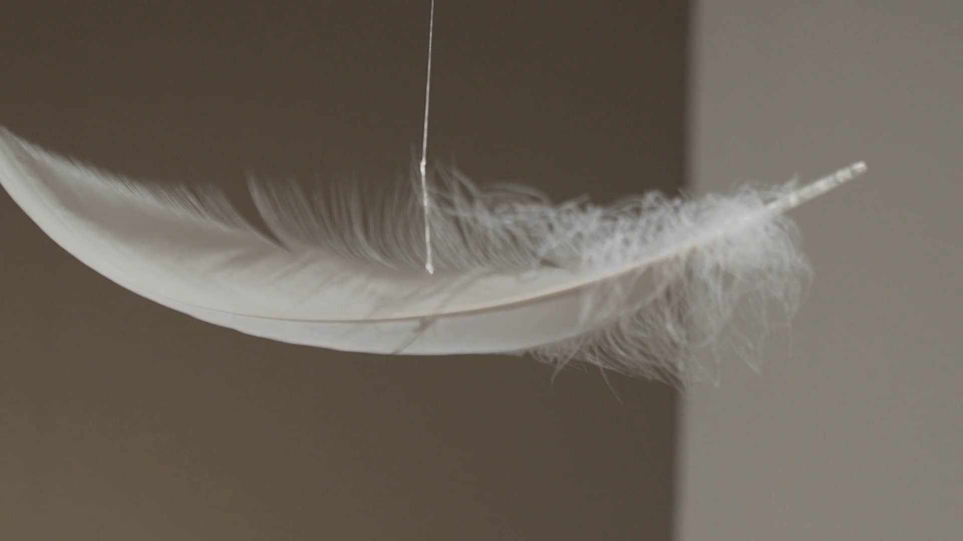 BIMA: Featherfolio with Chris Maynard on Vimeo
