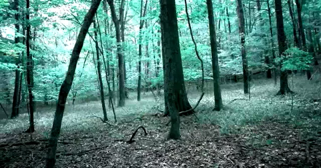 Paramore - Decode (Band Performance Version) Official Video on Vimeo