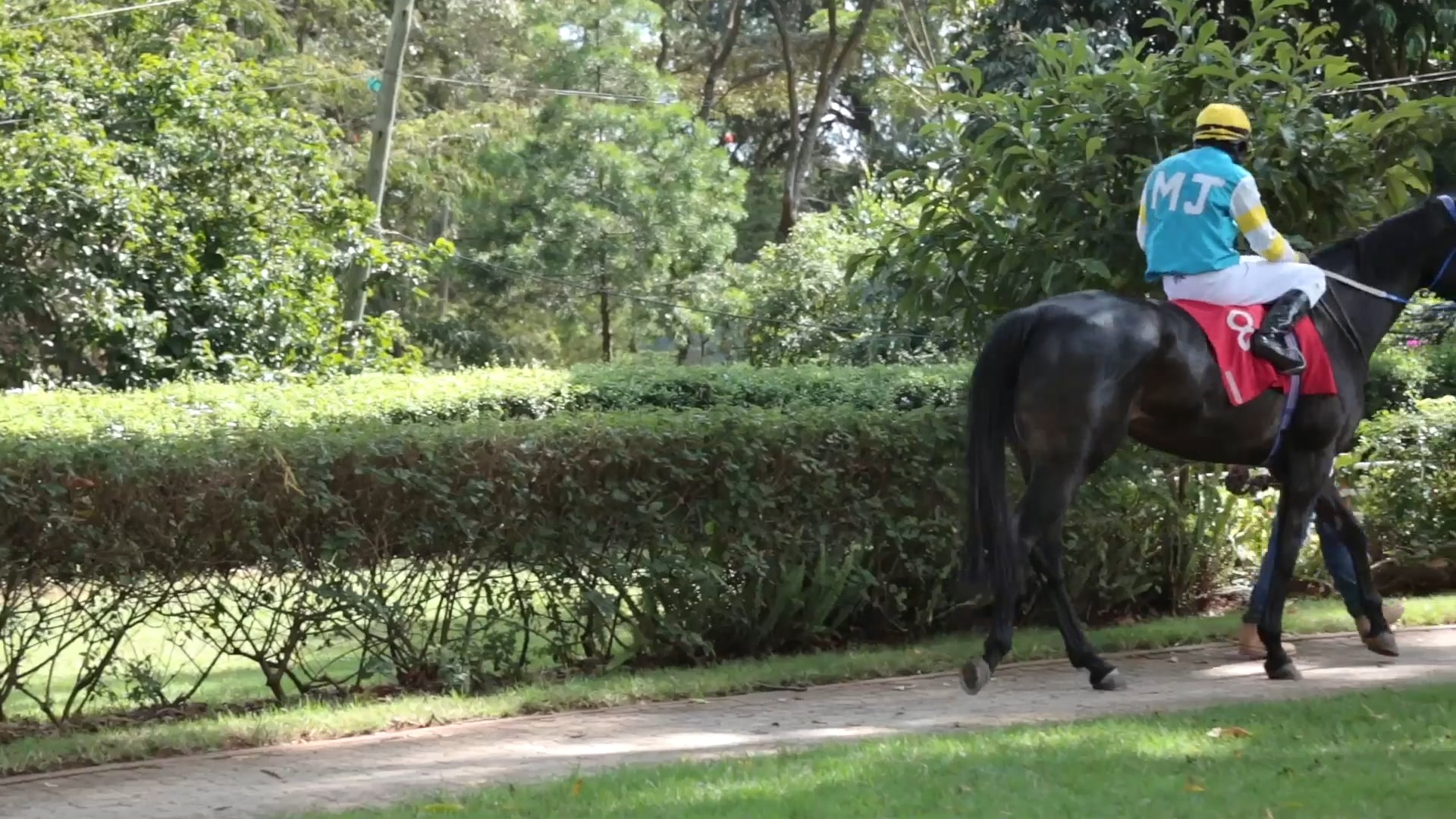 Career_Talk_SE1E22_Mark_Mburu_Jockey on Vimeo