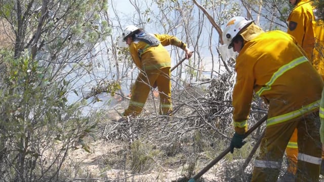 Fuel loads — Science Learning Hub