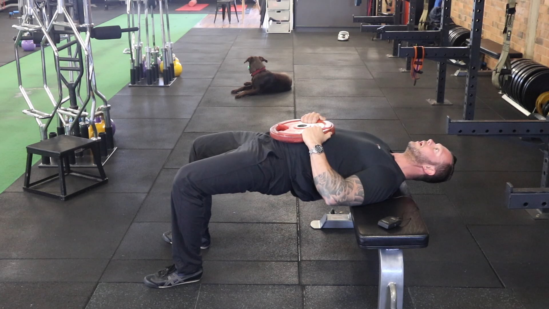 Plate Hip Thrust on Vimeo