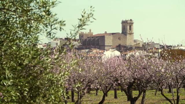 Ajuntament de Càlig archivos - Mediarec