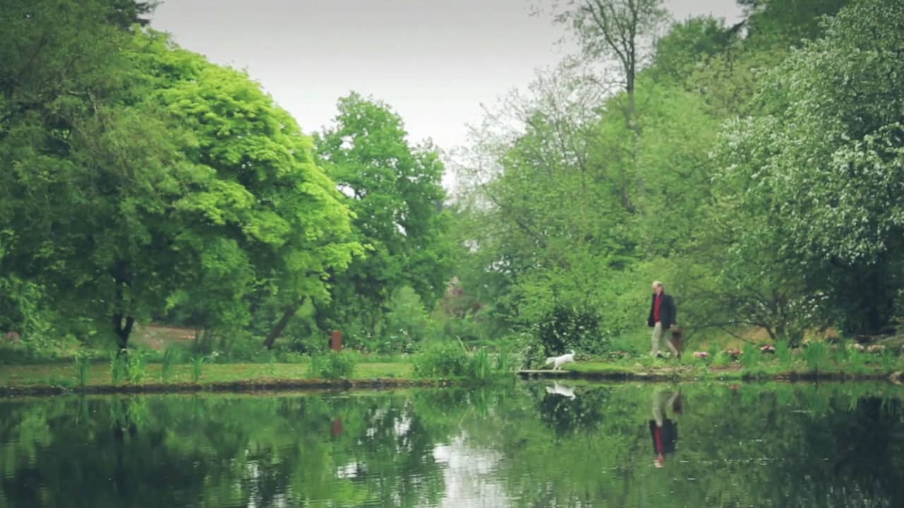 Nyetimber: Perspectives of Perfection | Eric Heerema on Vimeo