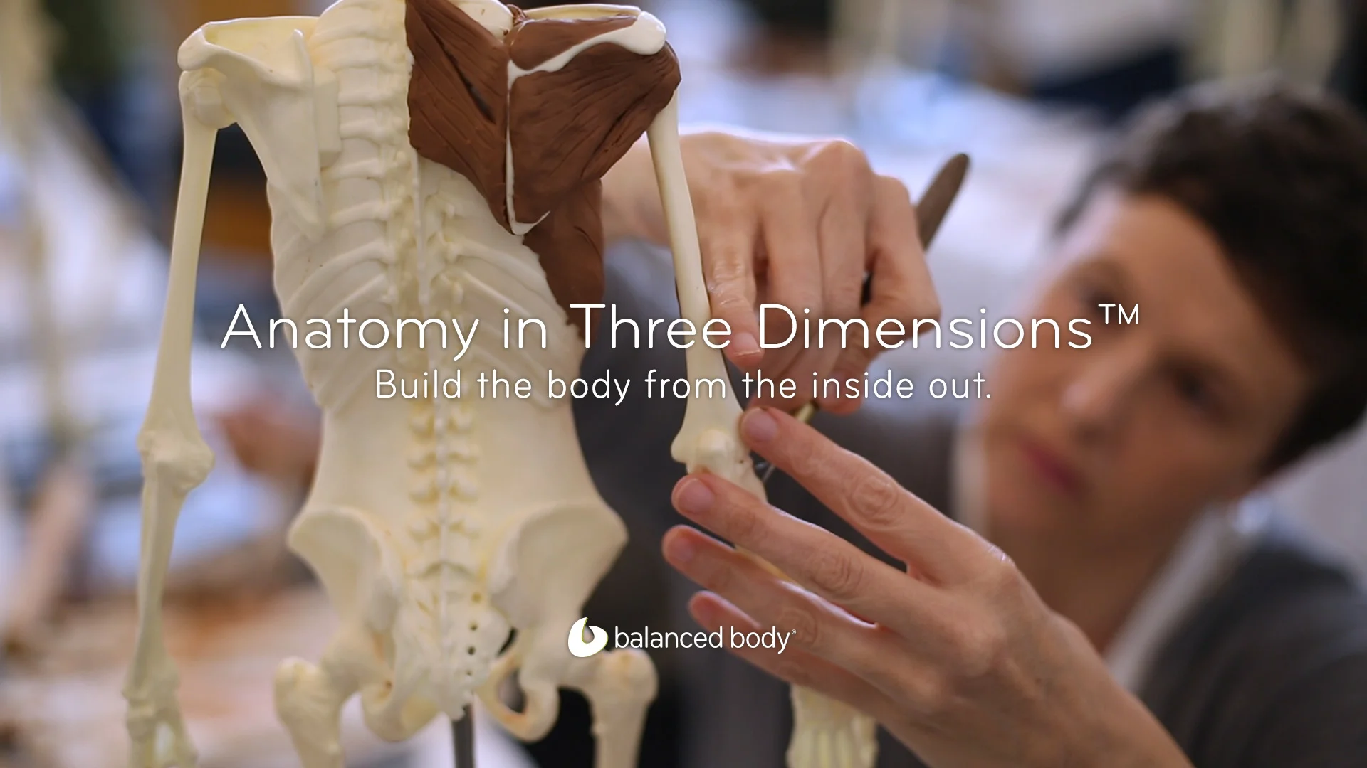 Anatomy in Three Dimensions™ on Vimeo