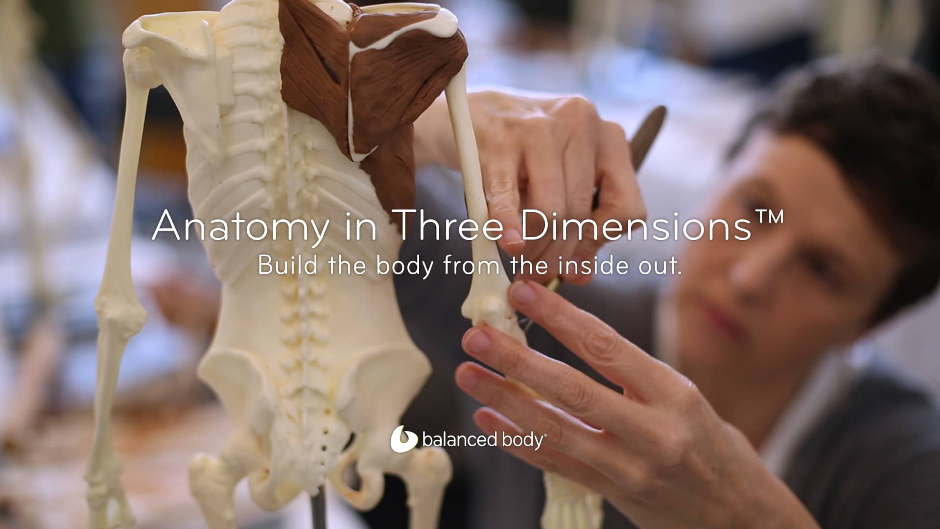 Anatomy in Three Dimensions™ on Vimeo