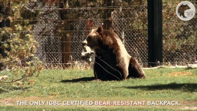 The First Certified Bear-Resistant Backpack