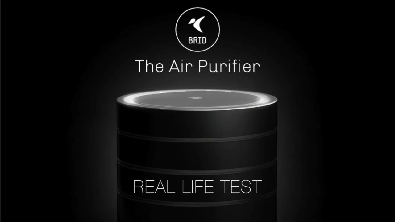 Brid air purifier review store