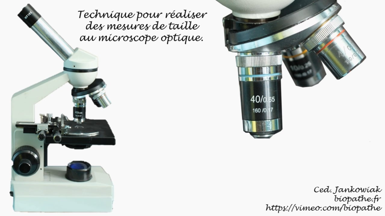 technique pour réaliser des mesures de taille au microscope optique ...
