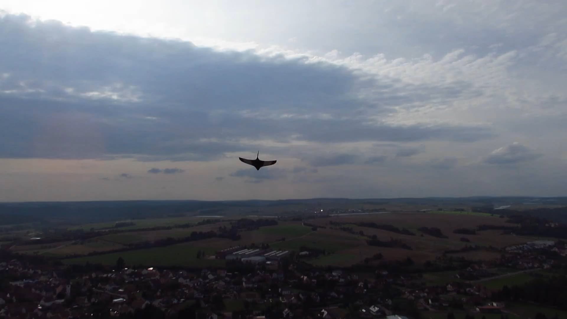 Miniray mit Scandera on Vimeo
