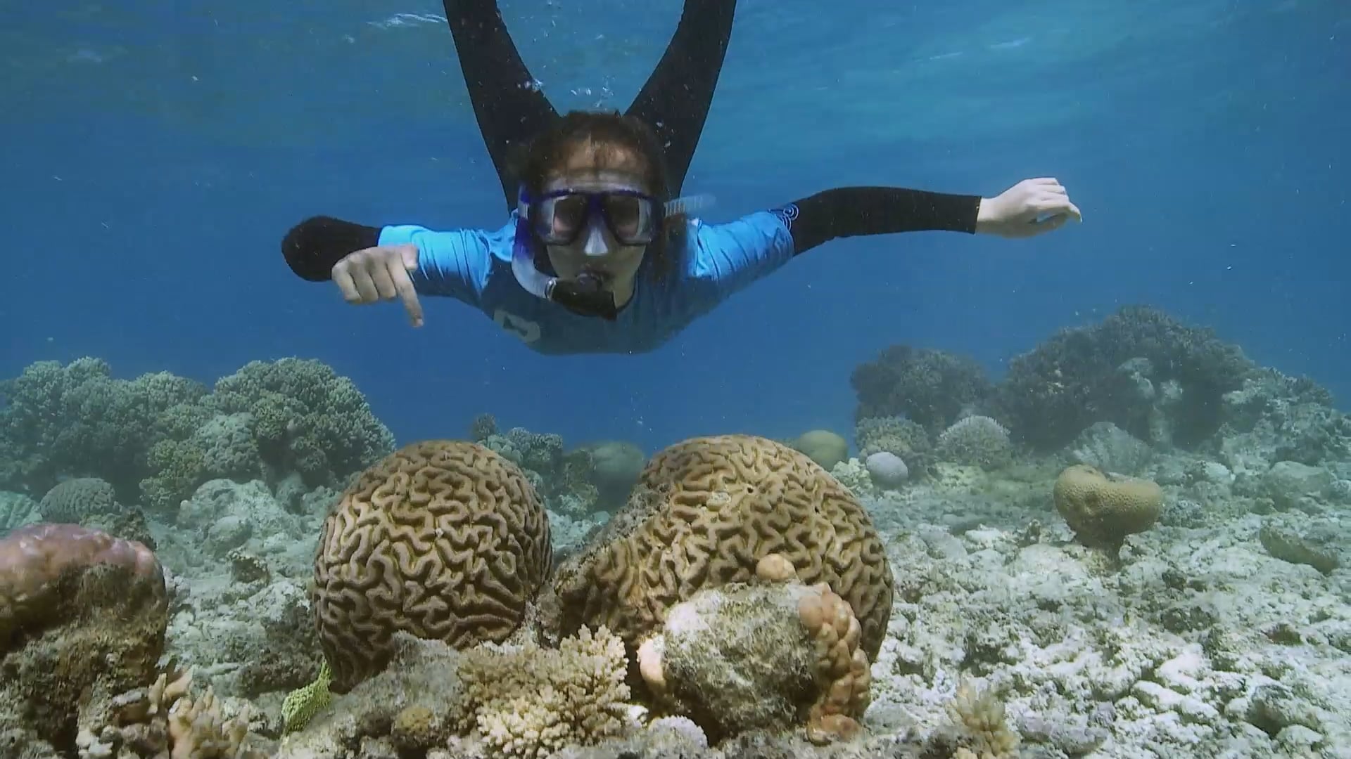 YOE - Video: Riley explores a coral reef