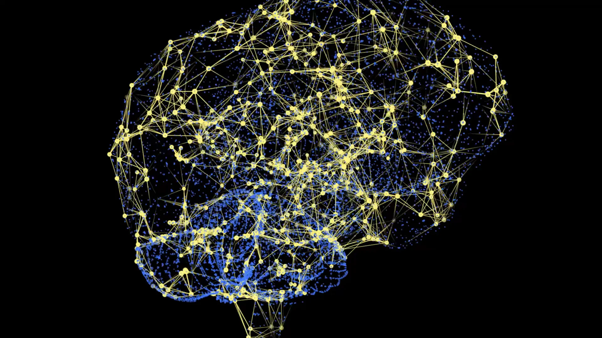 brain on Vimeo