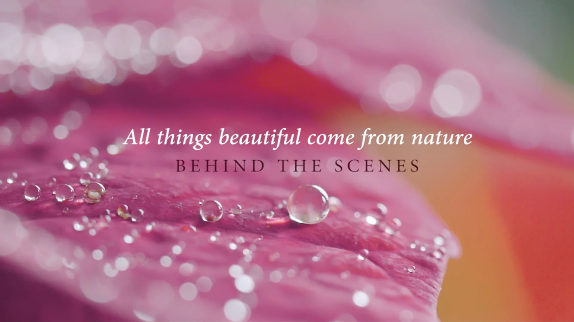 WASO | Behind The Scenes