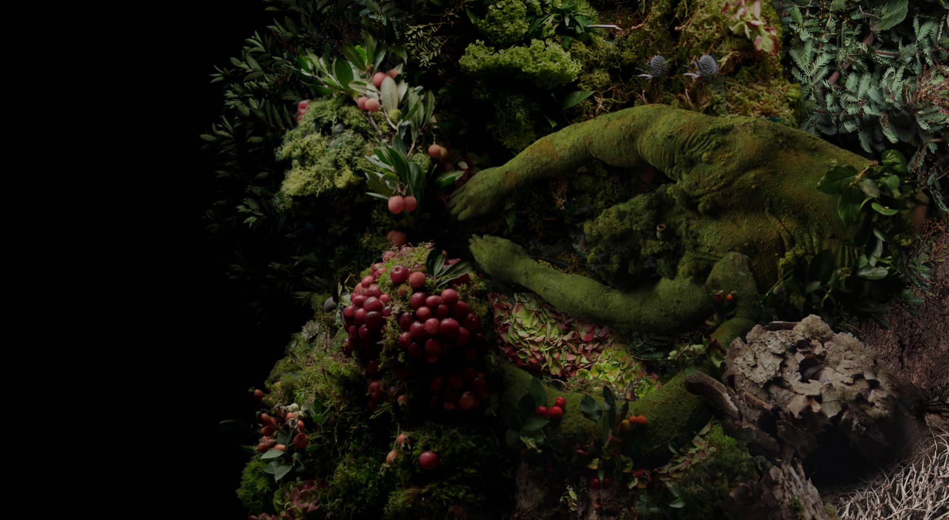 Forest Folk on Vimeo