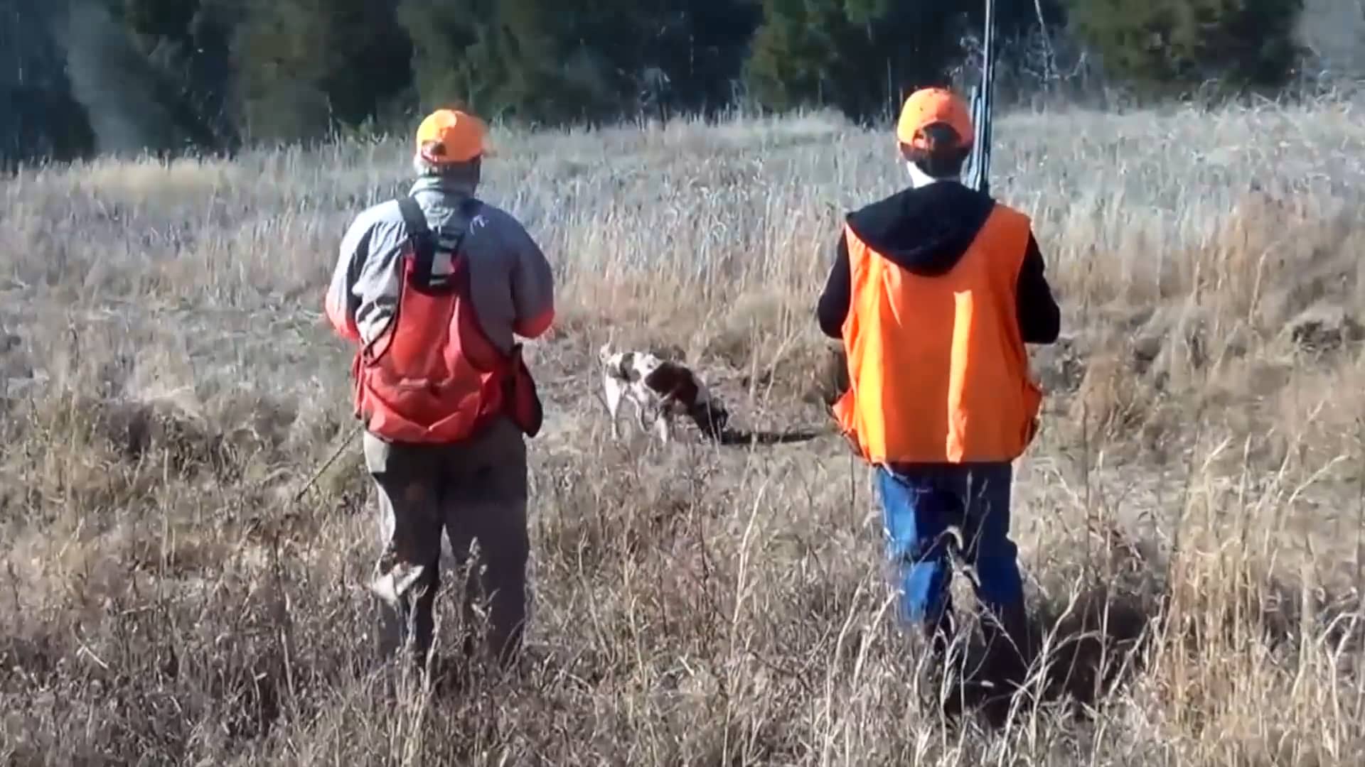 Orapax Hunting on Vimeo