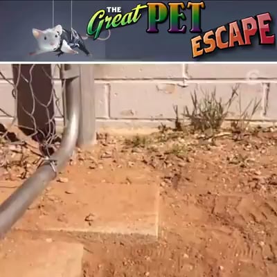 The great pet escape on Vimeo