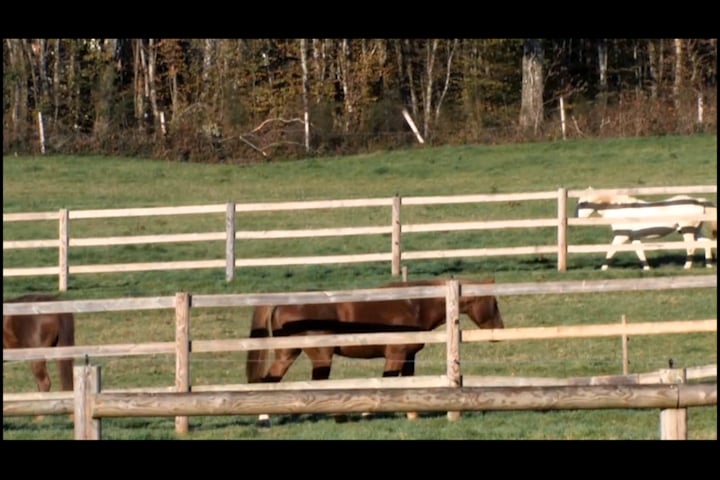 présentation BLH on Vimeo