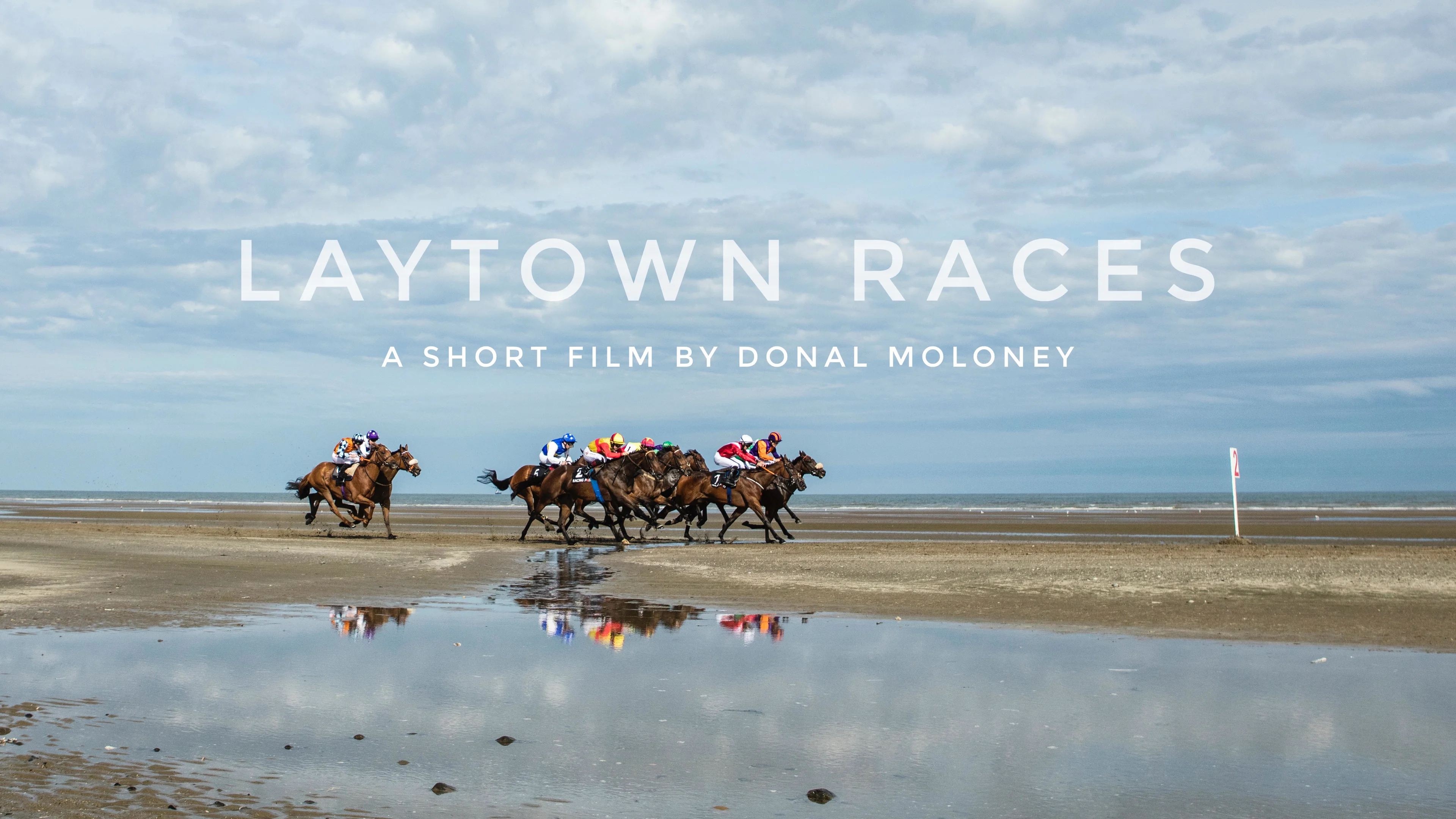 Laytown Races 2017