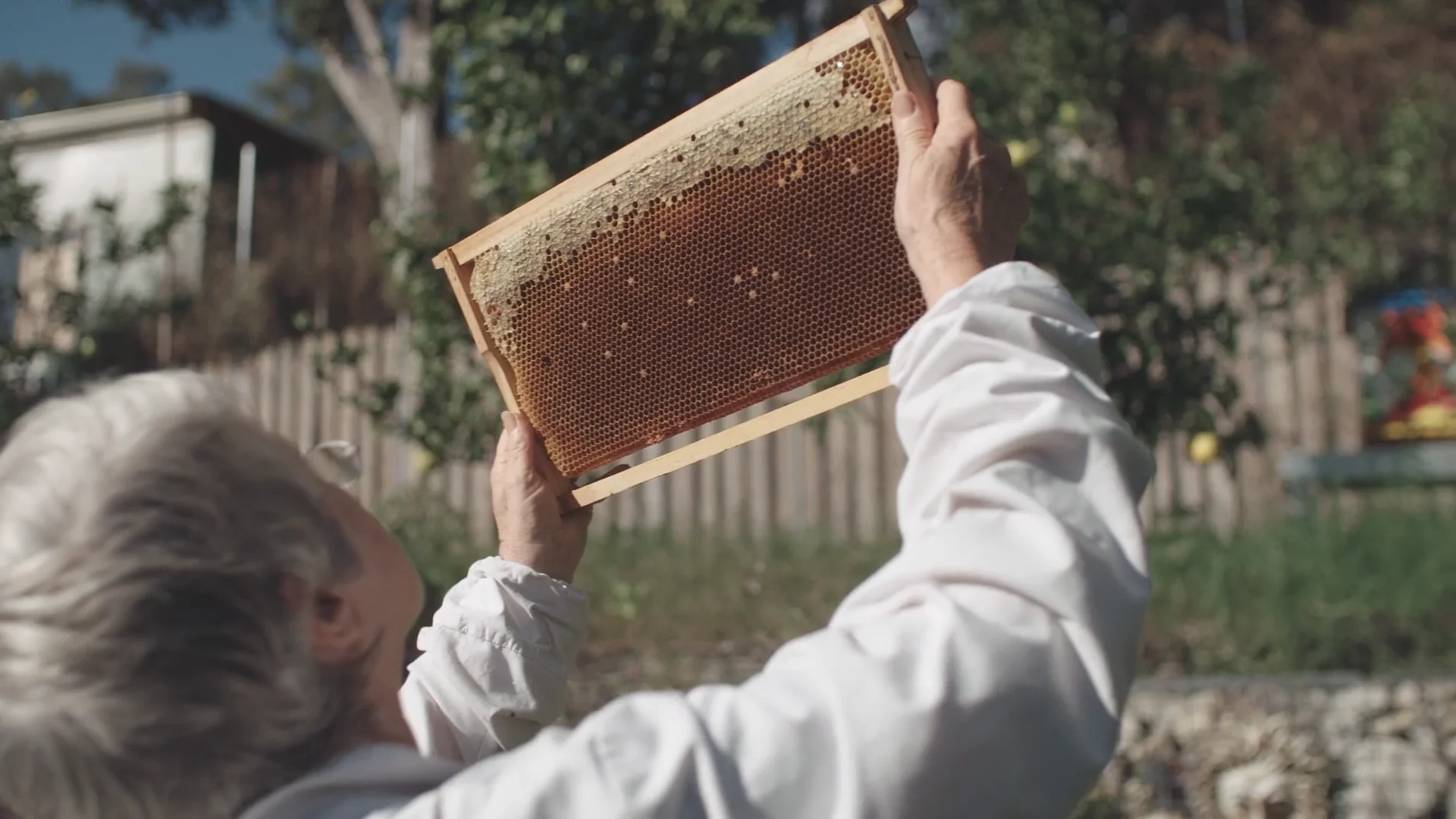 Central Coast Council 'This Is The Life' - Barbara Elkins 15sec on Vimeo