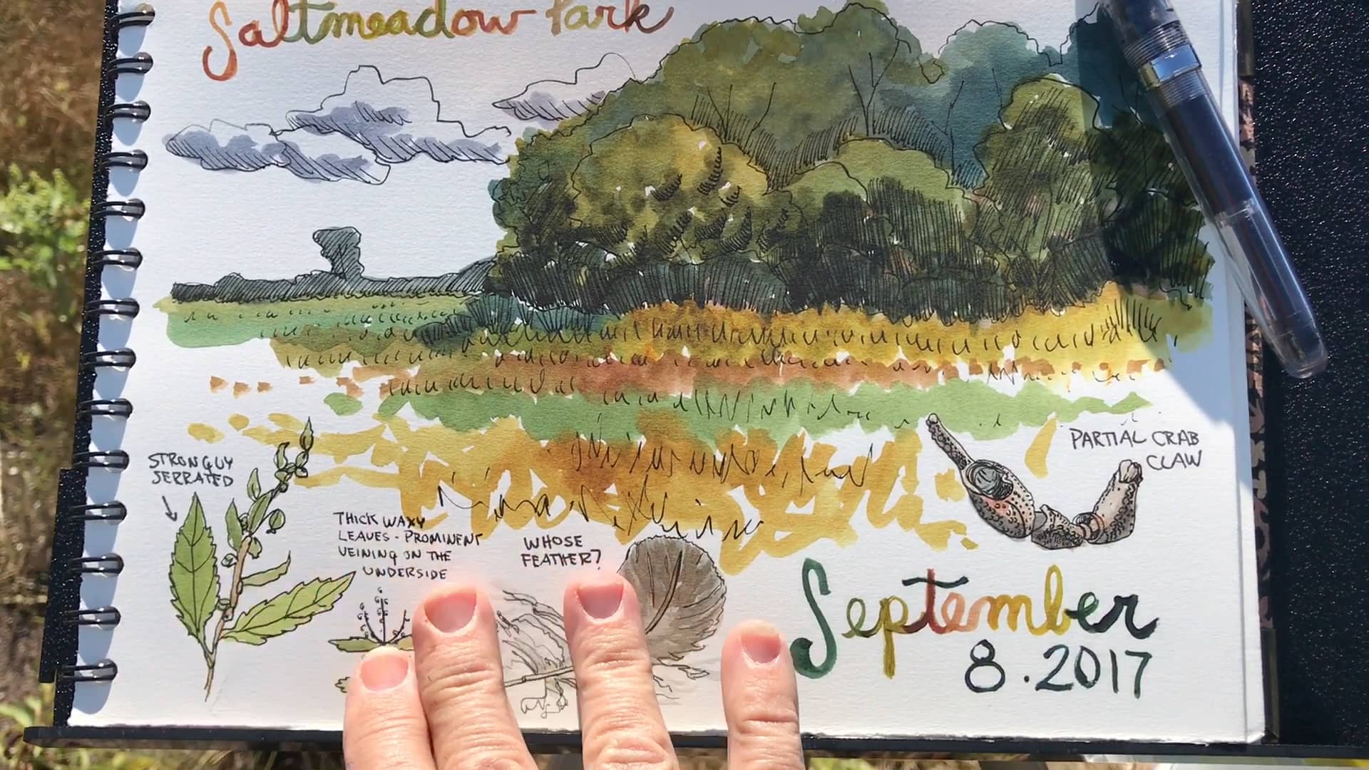 Nature Journal Page Layout Tip on Vimeo