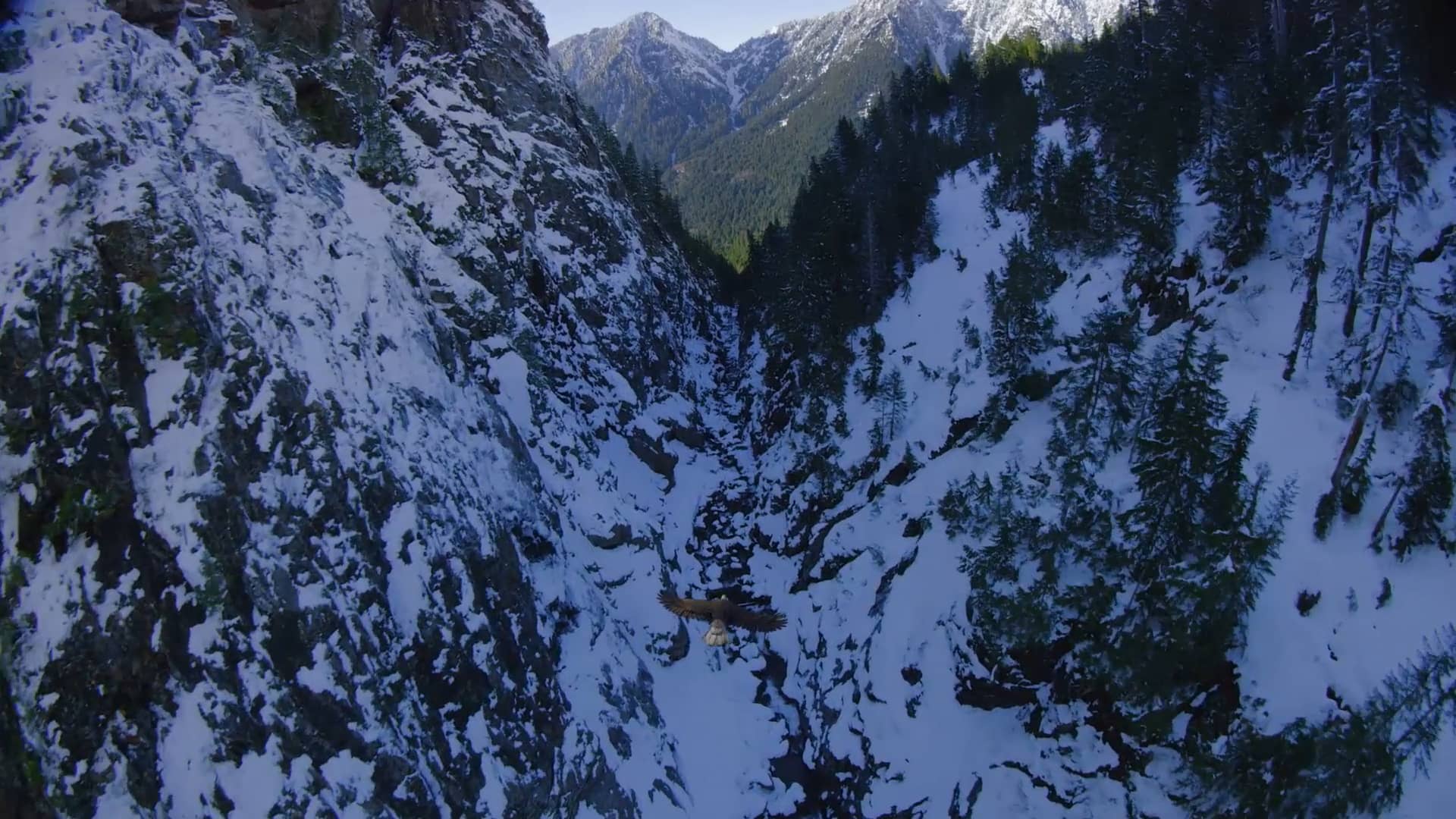 Wings Over Washington (Flying Theater) THEA Submission 2017 on Vimeo