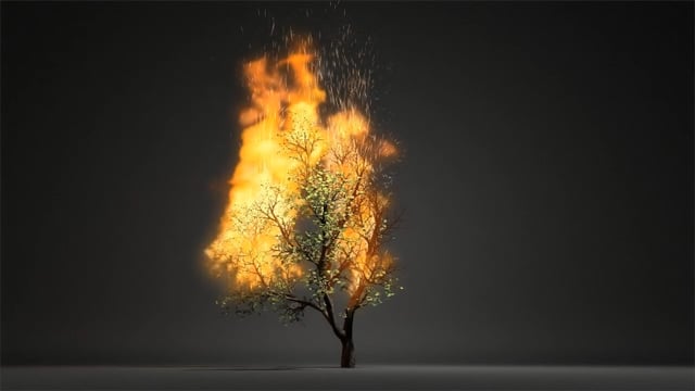 Using CGI to Realistically Simulate Burning Trees