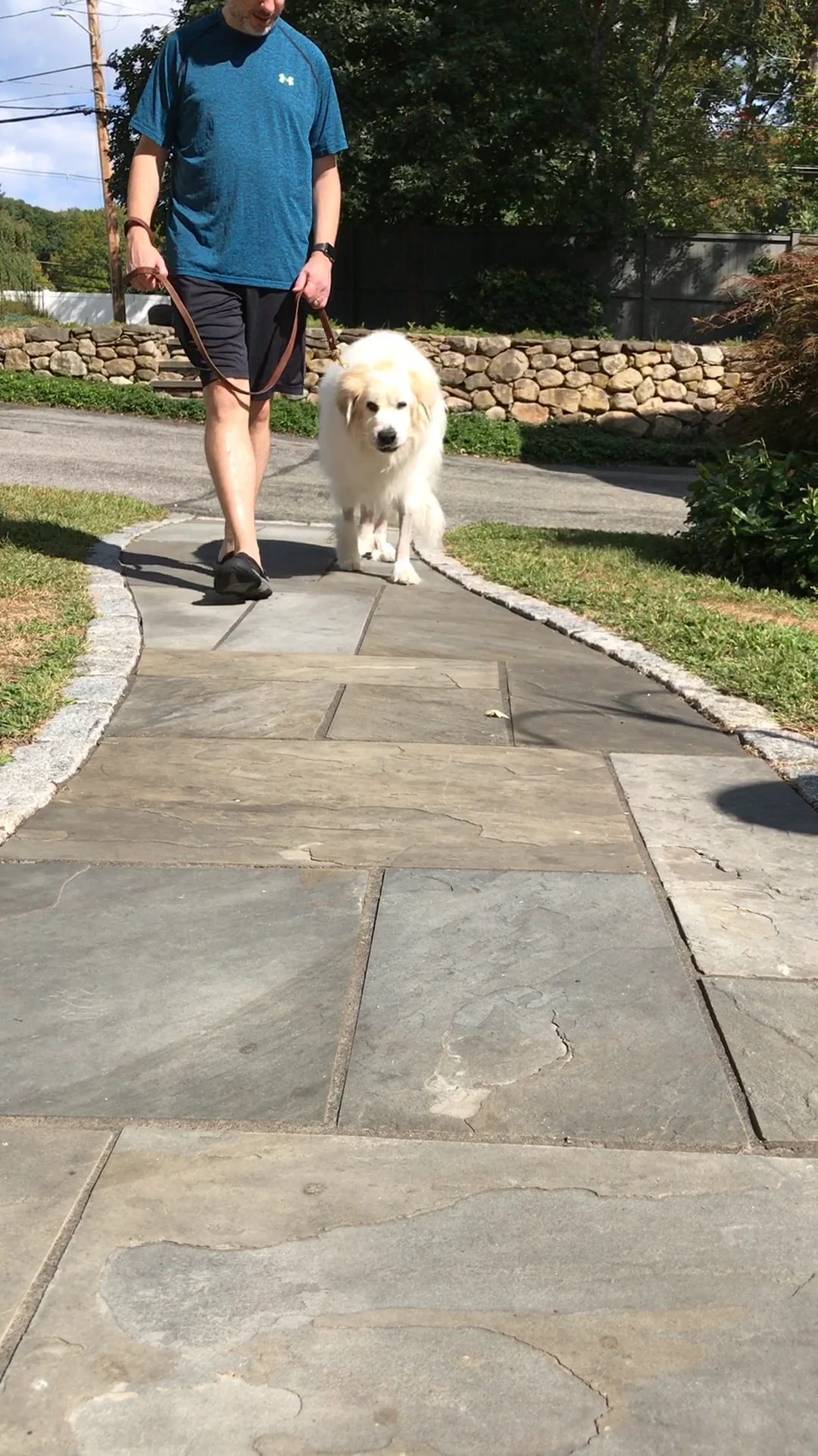 Greta Walking Towards on Vimeo