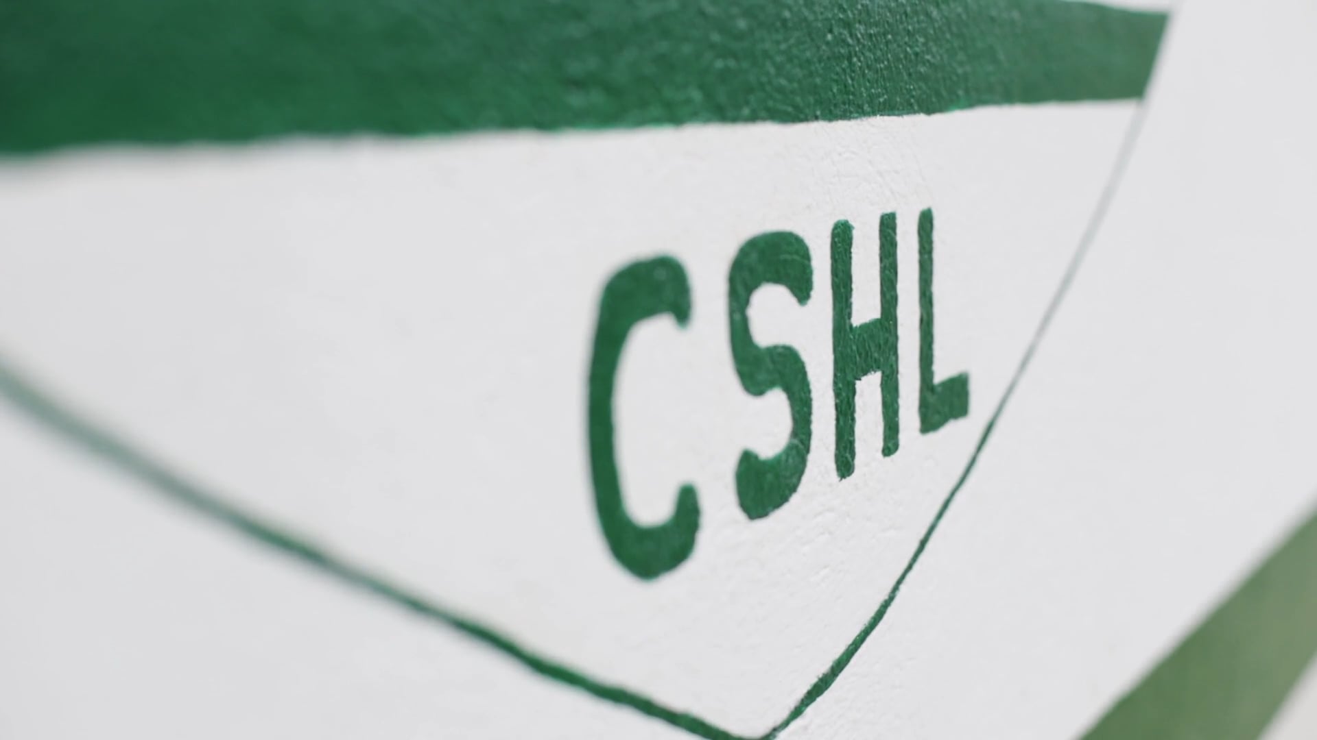 Spot CHSL - Nouveau Logo 2017 on Vimeo