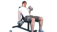 Hammer Curls Sitzend Abwechselnd Bizeps Armbeuger Handstrecker On Vimeo
