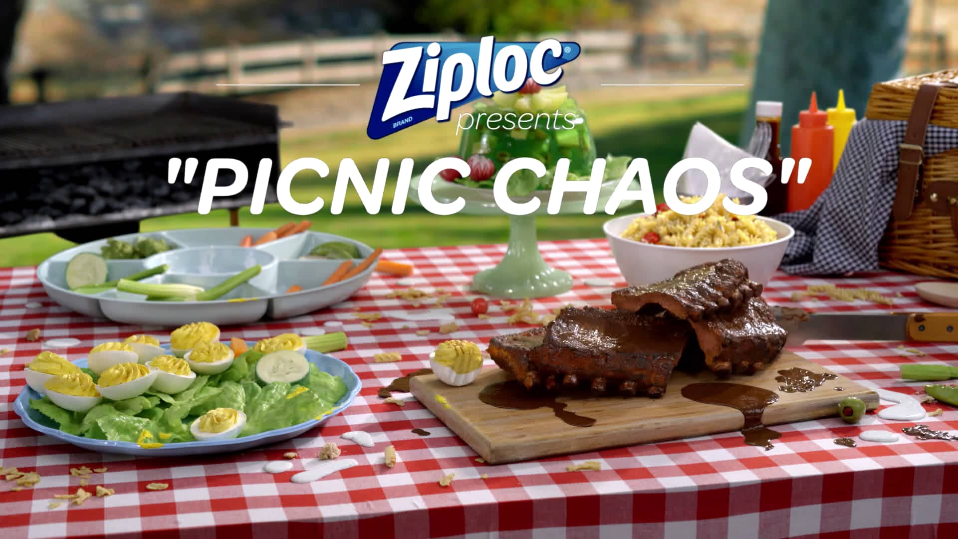Ziploc Presents: Picnic Chaos on Vimeo