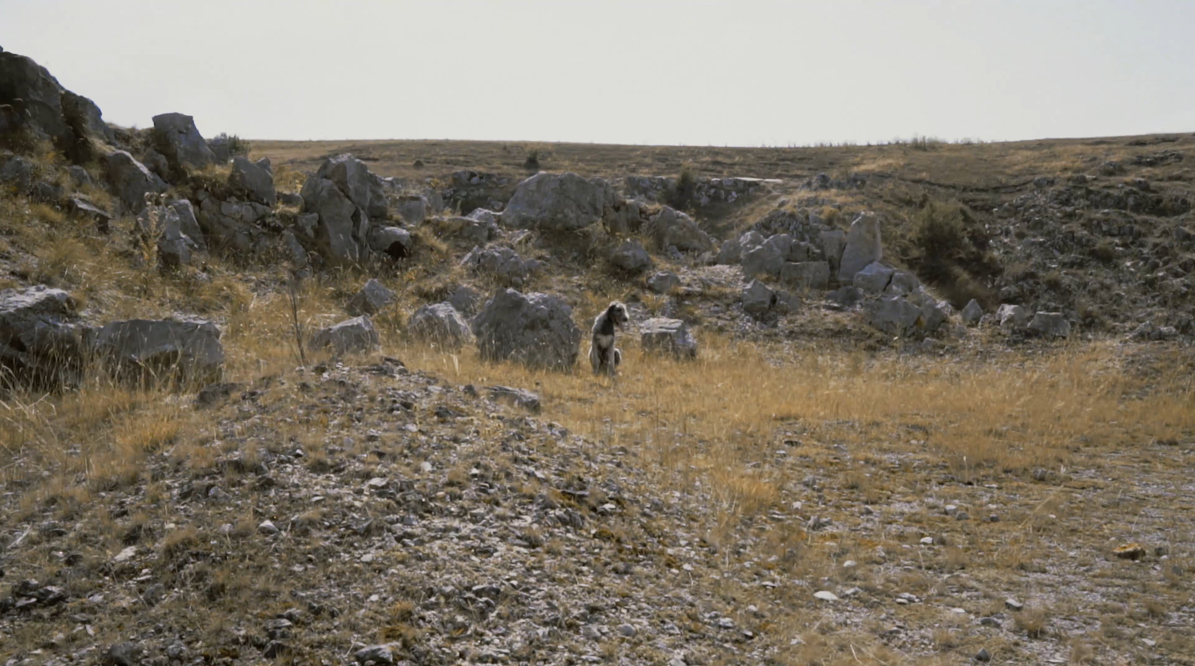 Highland Shadow - Campaign shoot on Vimeo
