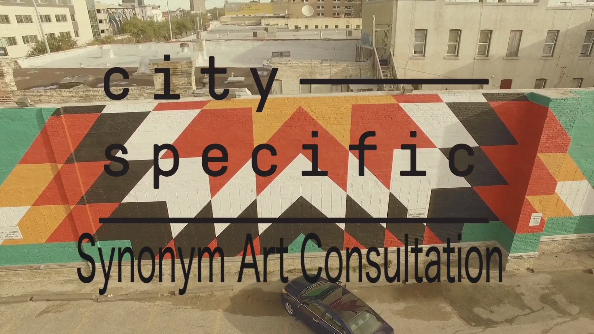 City Specific - Synonym Art Consultation on Vimeo