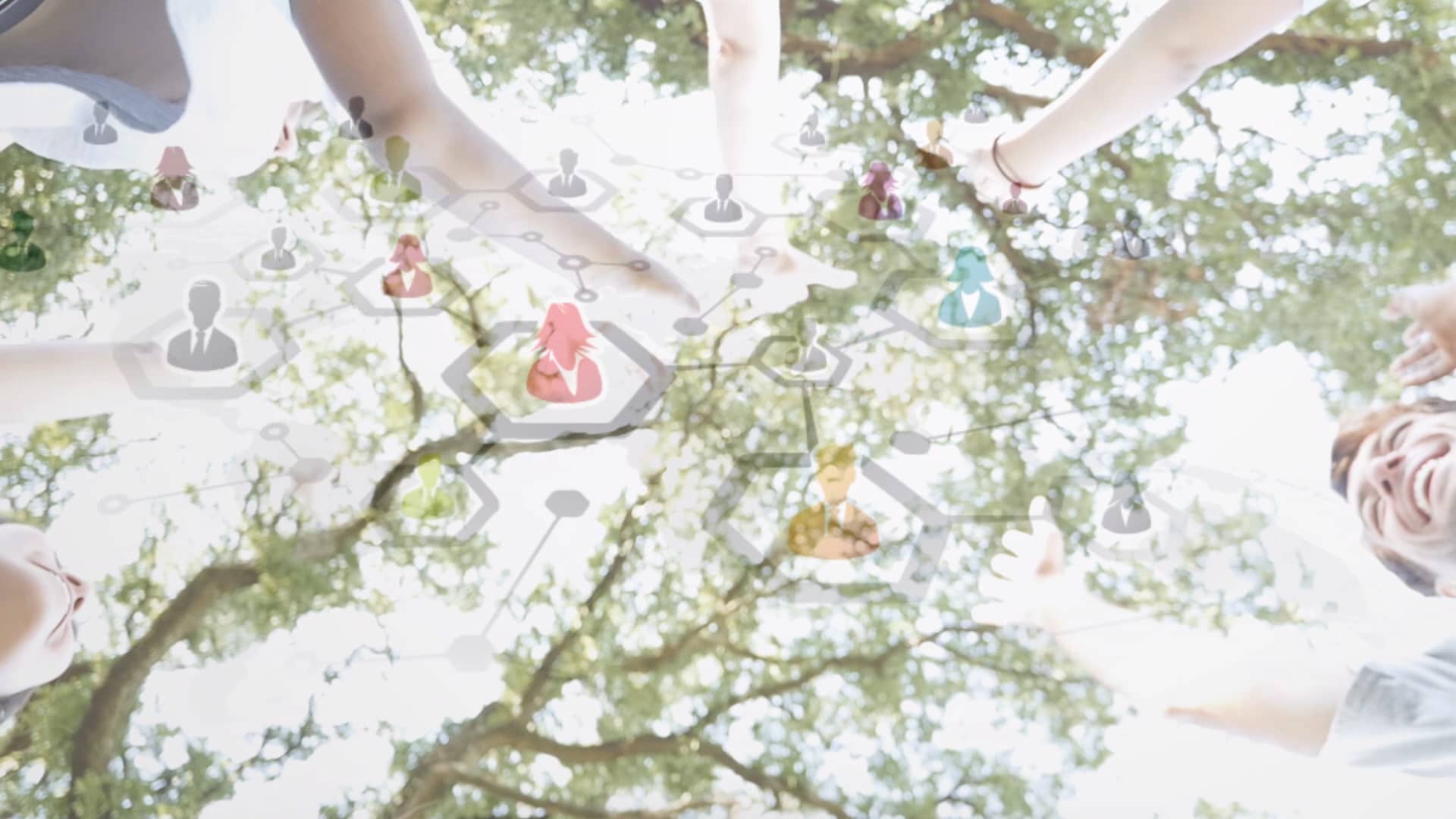 Looking Glass Video 2017 On Vimeo