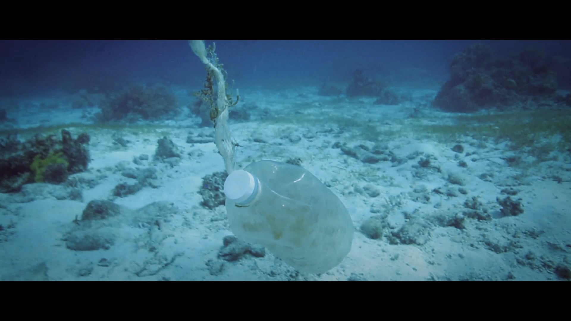 Plastic Is Forever Trailer on Vimeo