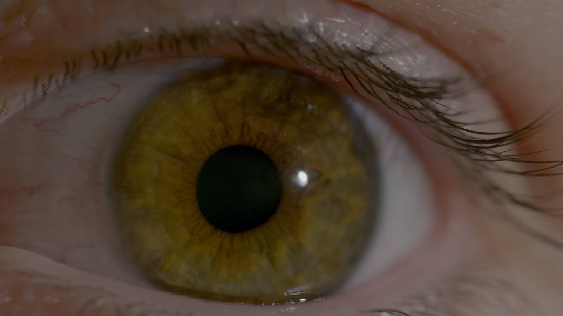 Human vs Replicant on Vimeo