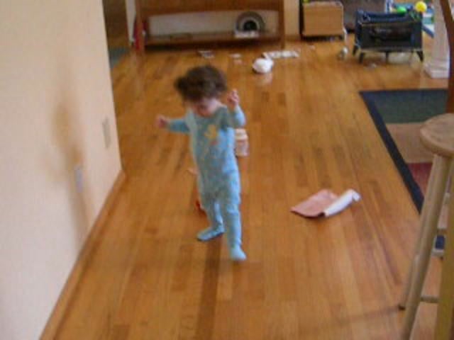 Callie pulling duck Lowell Feb. 09 on Vimeo