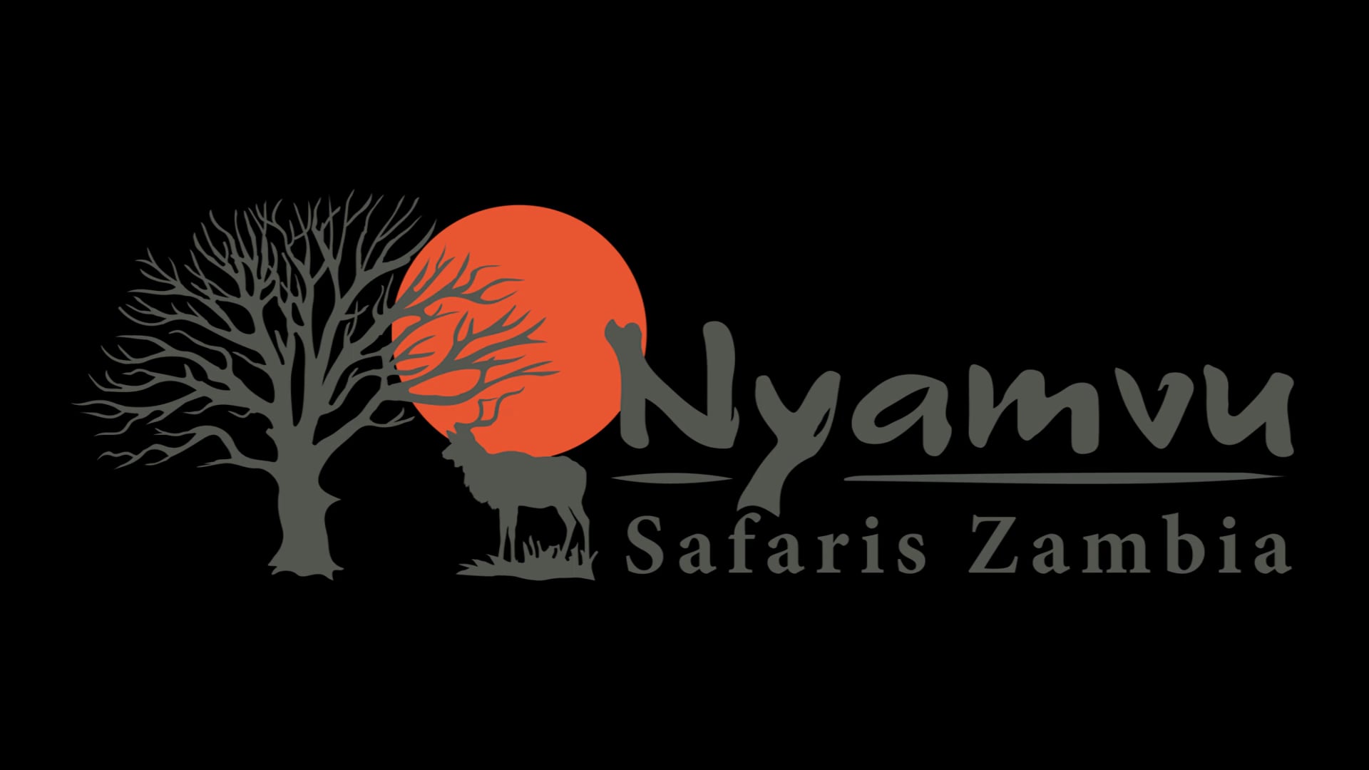 A glimpse of Nyamvu Safaris Zambia on Vimeo