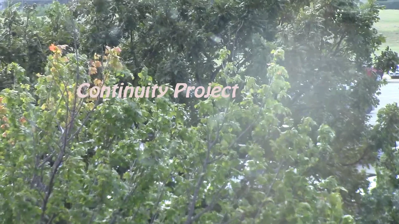 Continuity Rough Cut