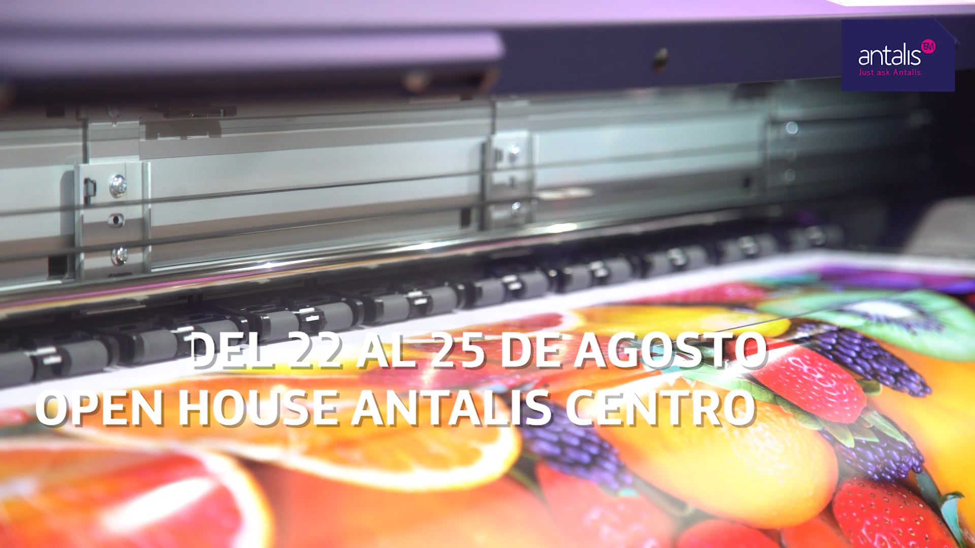 ANTALIS CENTRO OPEN HOUSE on Vimeo